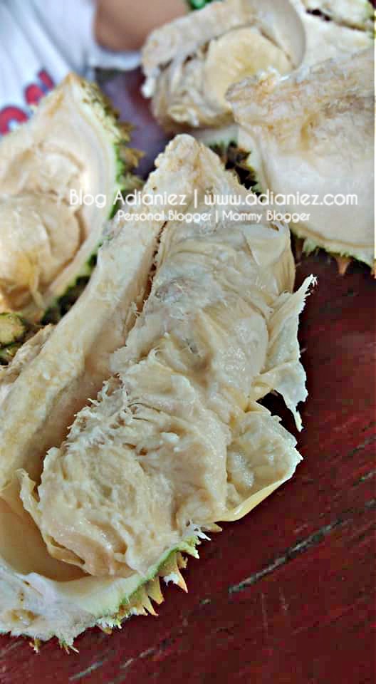 Makan Durian Musang Queen | Sedap & Murah