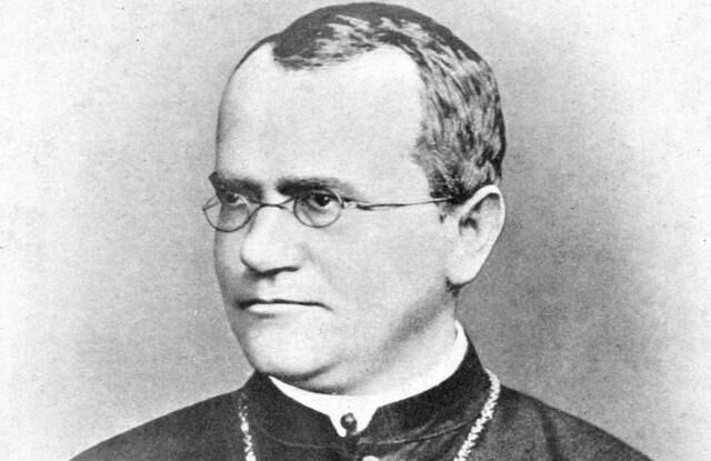 THE GRANDMA'S LOGBOOK ---: GREGOR MENDEL, 'VERSUCHE ÜBER PLFLANZENHYBRIDEN'