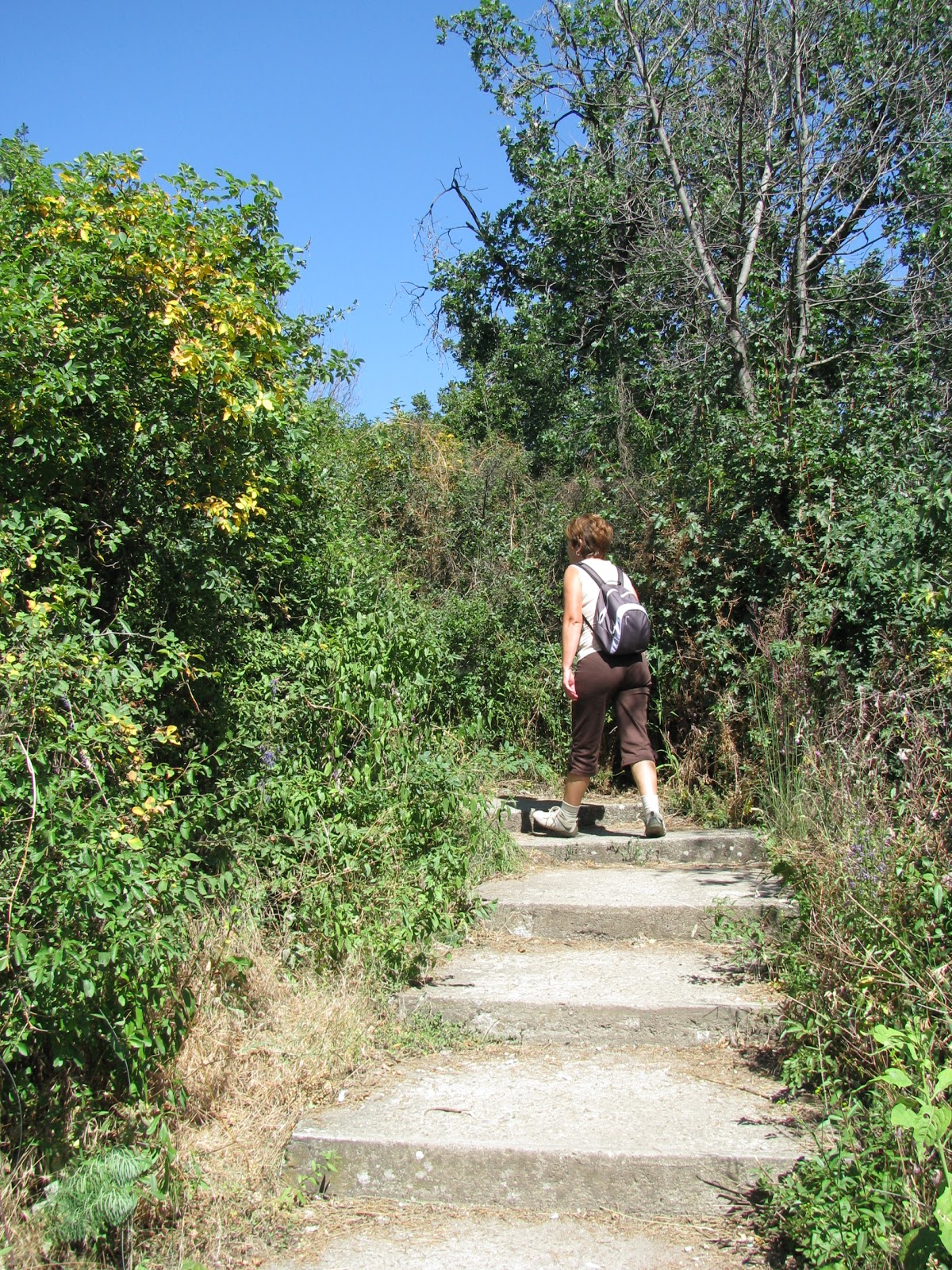 Magyar Kaland: Mátrafüred - Kozmáry kilátó