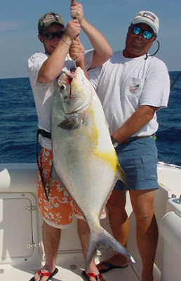 Big Fishes of the World: PERMIT (Trachinotus falcatus)