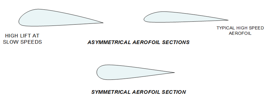 El ala, su forma y su nomenclatura
