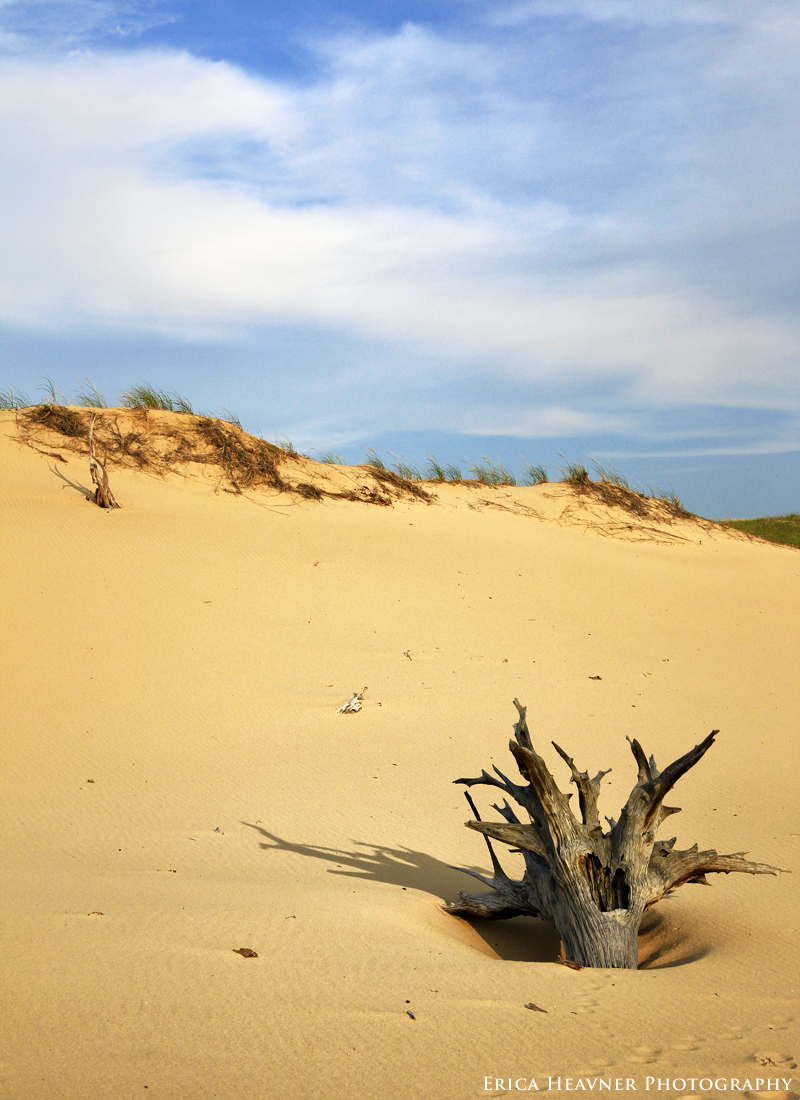 Erica Heavner Photography: Silver Lake Michigan