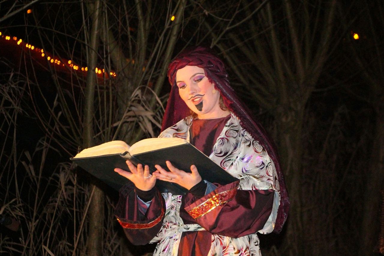 Theo Krins: Kerst Wandel Theater 2014