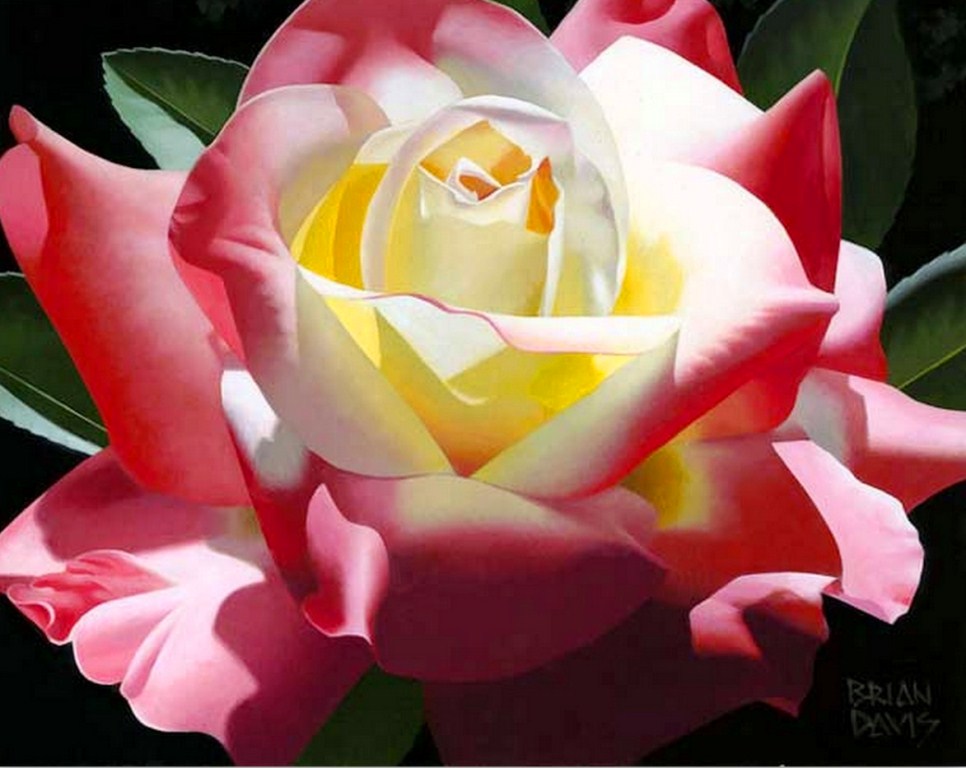 Cuadros de rosas al oleo - Imagui