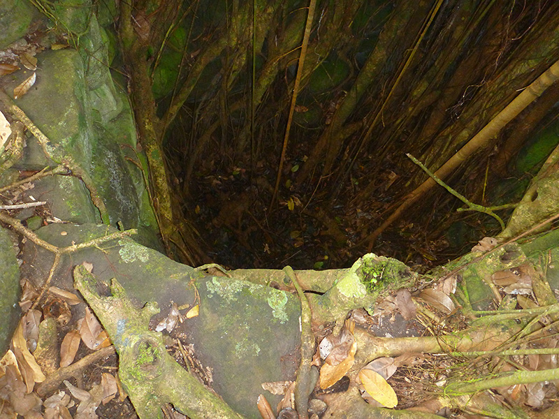 The Adventures of S/V Silhouette: How the Haka was Born and other Tales ...