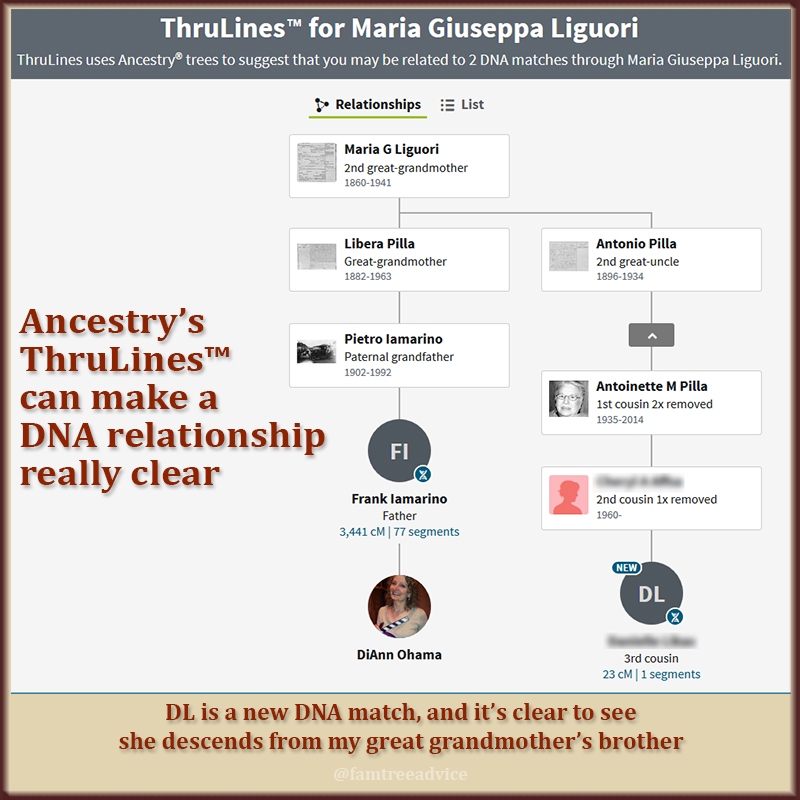 Fortify Your Family Tree: Using Ancestry's ThruLines to Find DNA Matches