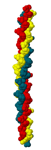 ESTRUCTURA DE LAS PROTEÍNAS. 2º BACH | departamento biología y geología