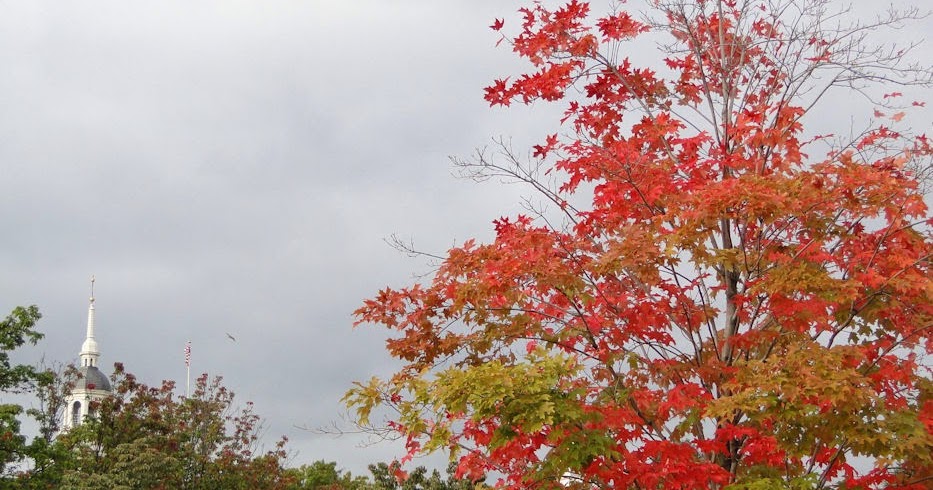 Passion for the Past: Days of Autumn Past in Photos