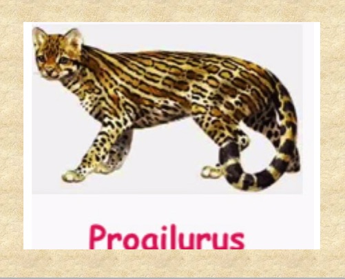 Vampiro Erudito: agosto 2019