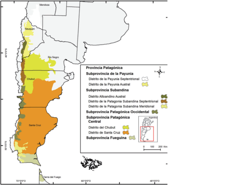 Argentina nativa: Estepa patagónica e islas de los Estados