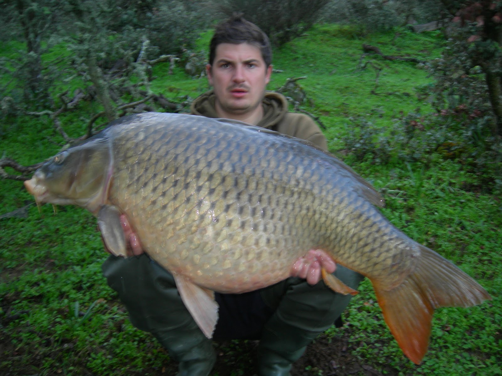 fotos pesca de agua dulce: Carpas