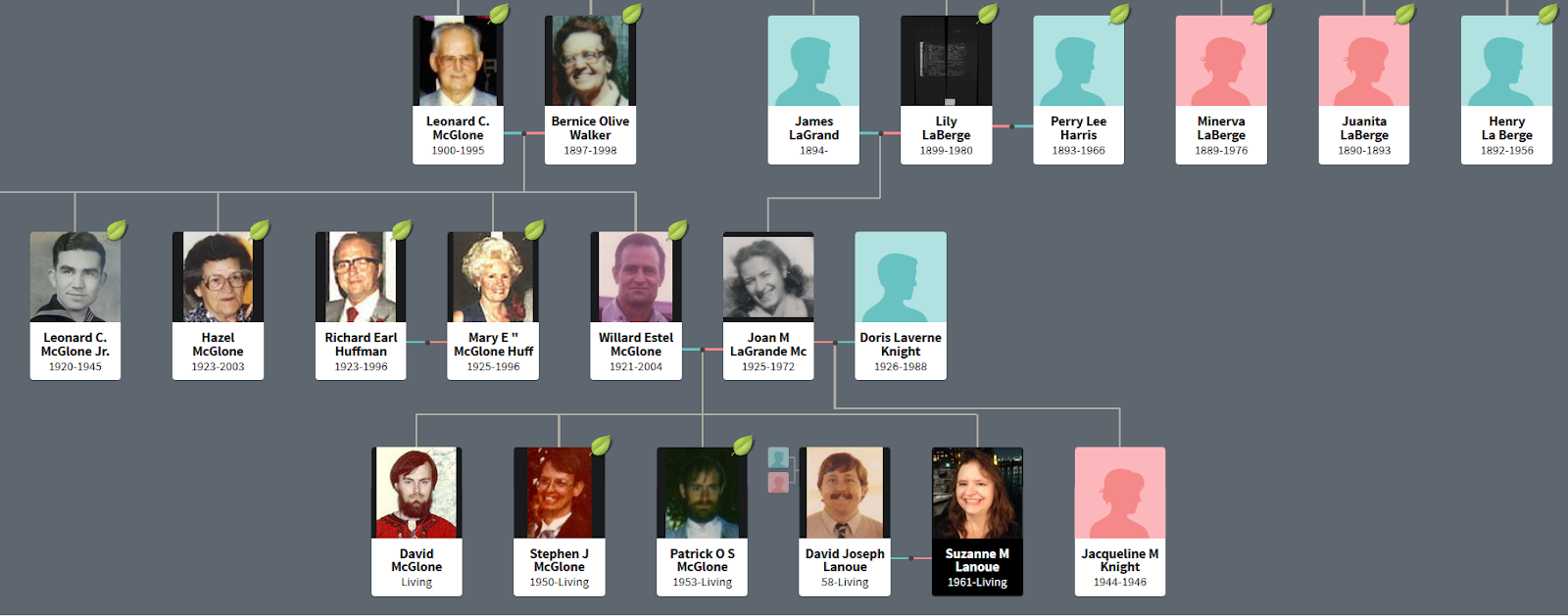 Assignment #4: Wild Card