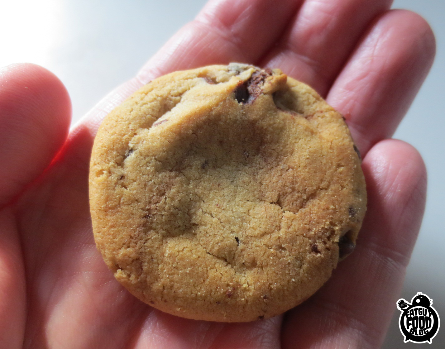 FATGUYFOODBLOG: 2 New Chewy Chips Ahoy Cookies: Sweet n' Salty Salted ...