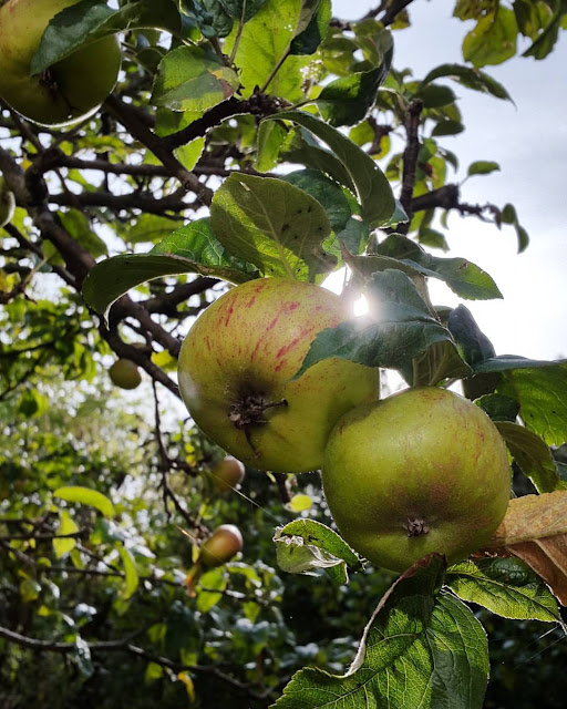 History of Halloween. How it all began.
