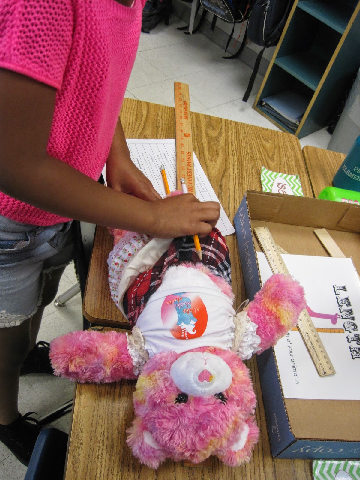 Flamingo Fabulous: Measurement Fair!