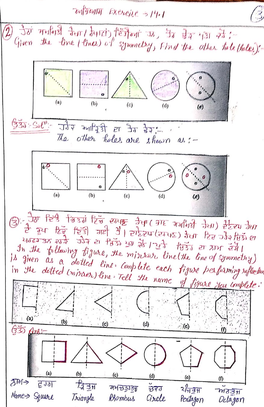 14- Symmetry - Class 7