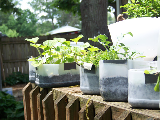 Hickery Holler Farm: The Incredible Milk Container