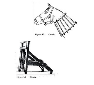 HANDLING AND RESTRAINING ANIMALS ~ Vets Solution