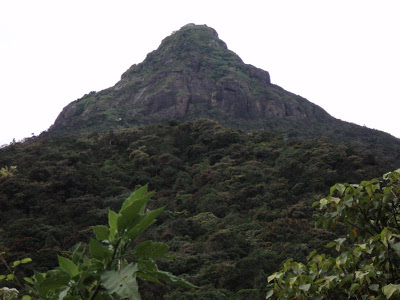 සිරිපාදේ ගිහින් දිවා ගුහාවත් වඳින්න. Real (Sri Pada), Divaguhawa ...