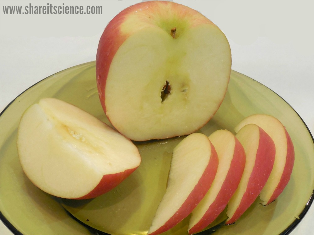 Share it! Science : Monsters and Mold: An Apple Experiment