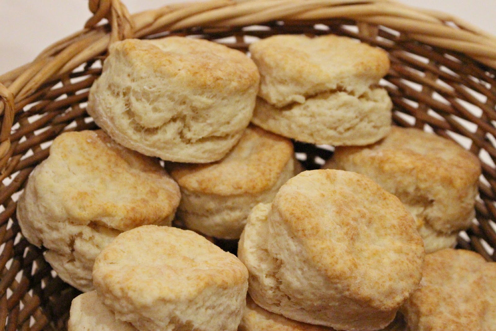 Jenn's Random Scraps: Almost Spring, and Sour Cream Biscuits