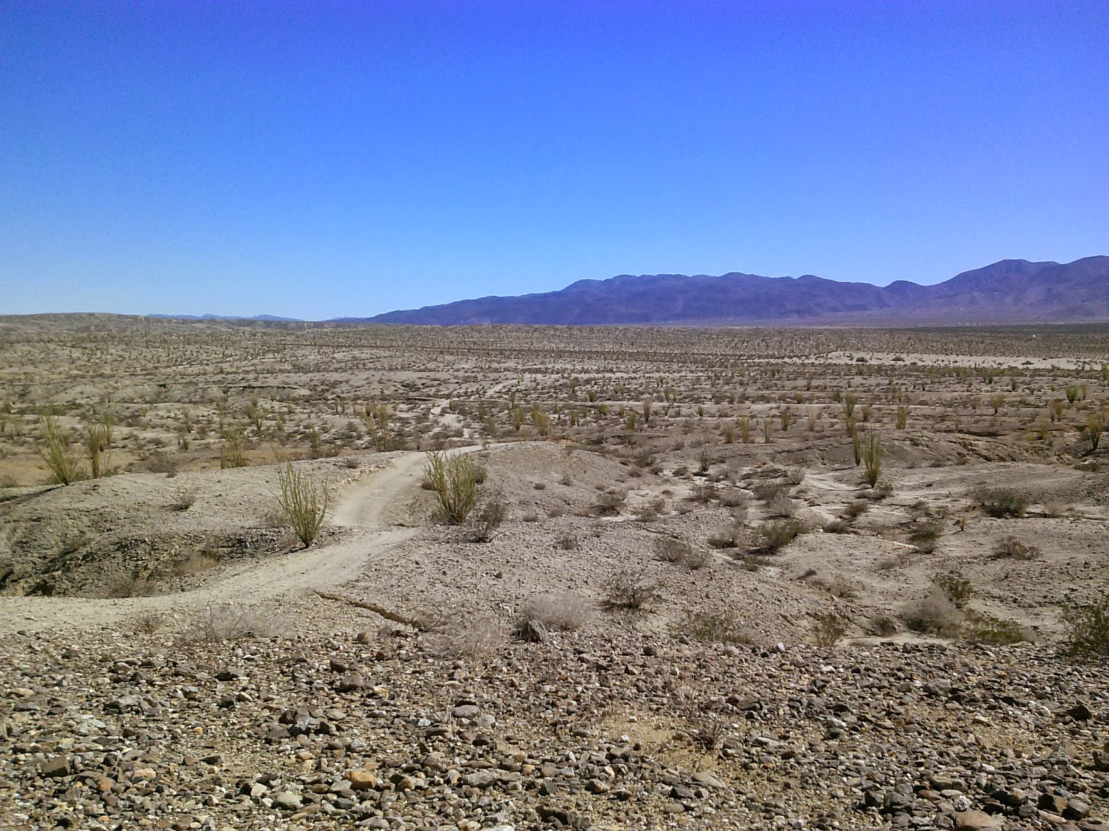 AdventureGraham: ABDSP: Culp Valley, Coyote Canyon, Kane Springs Road ...