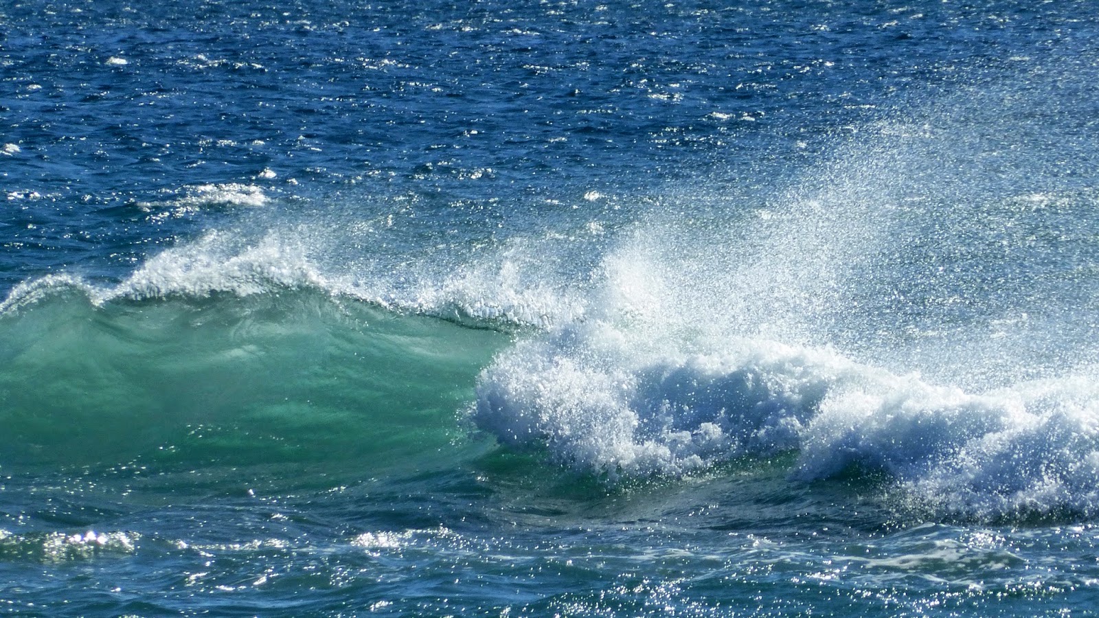 The Malibu Post: November Winds