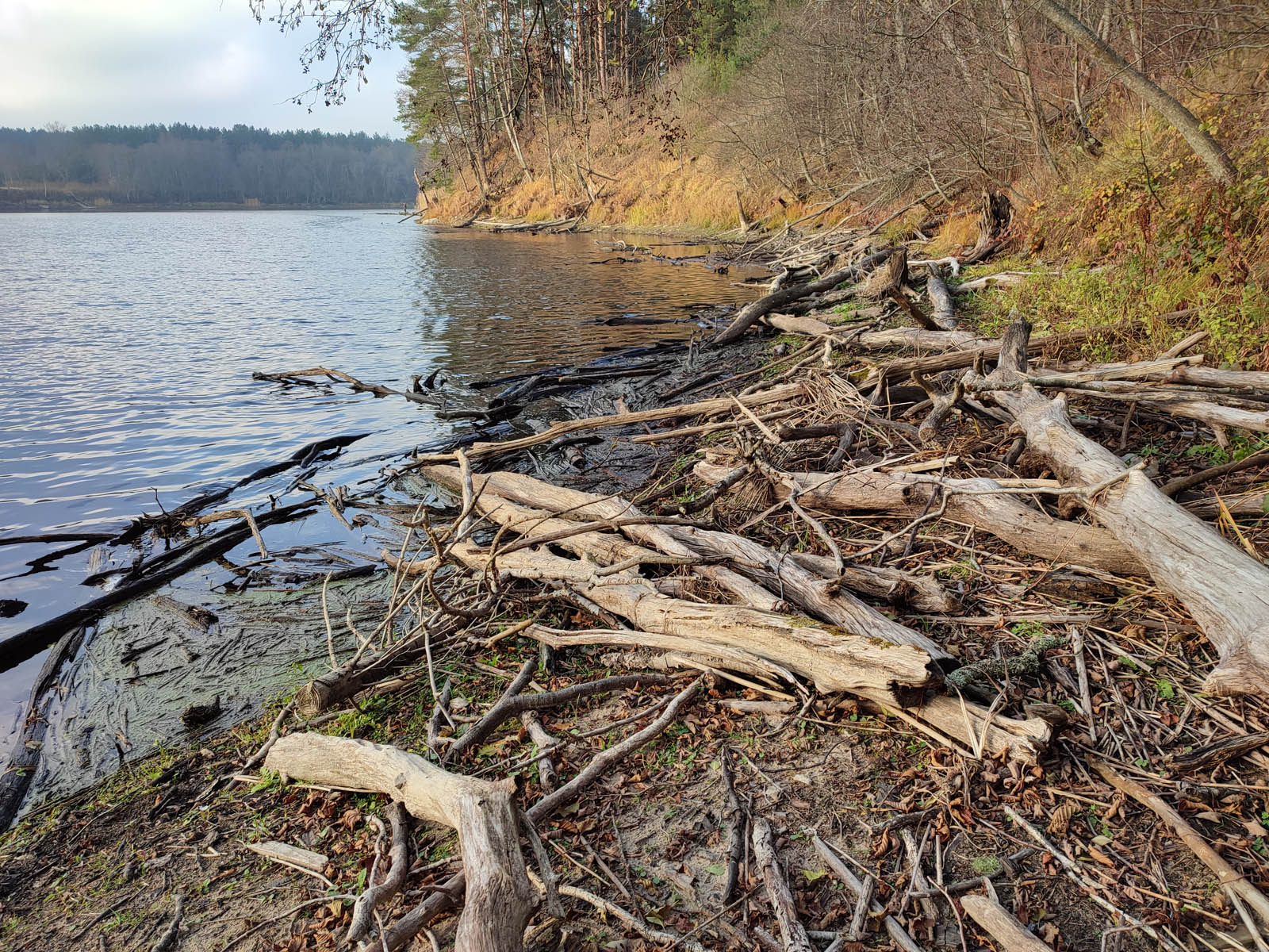 Päevik: Kaberla - Kaberneeme rattamatk