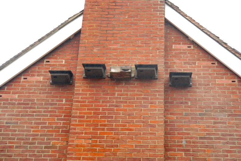 Action for Swifts: S Brick gallery