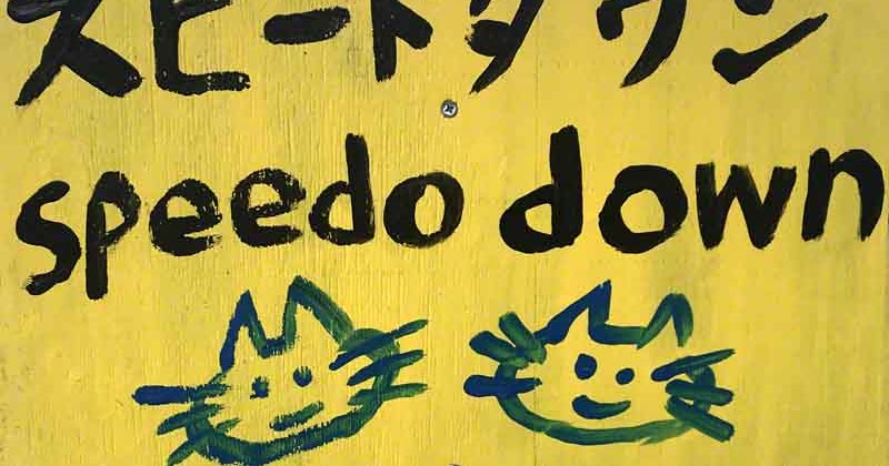 Ryukyu Life: Wordless Wednesday: Silly Sign - Speedo Down