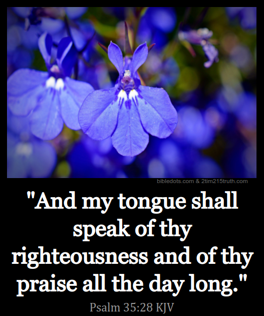 2 Timothy 2:15 Truth: Verse of the Day: Psalm 35:28 KJV