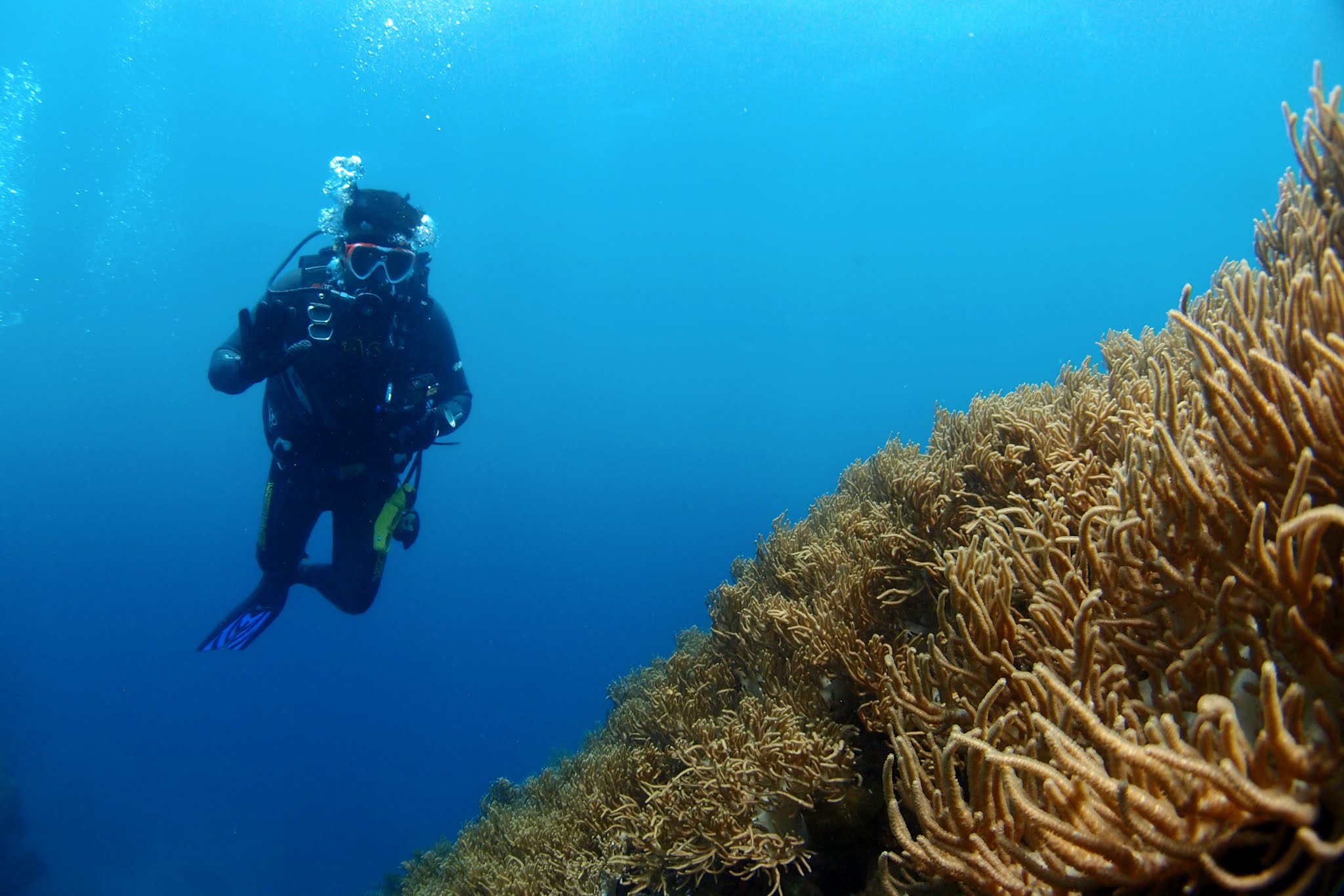 OKINAWA 39ers Dive Log: Jul 8th - Sunabe Seawall