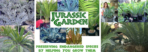 Jurassic Garden: Protecting Cycads and Other Plants from Frost