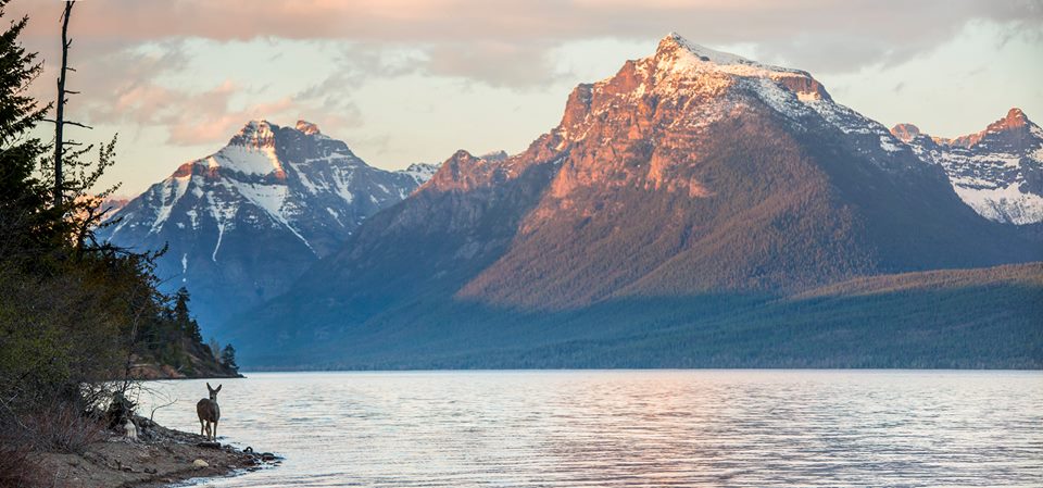 Illuminator of the Book of Revelation: Thousand Year Reign with Christ ...