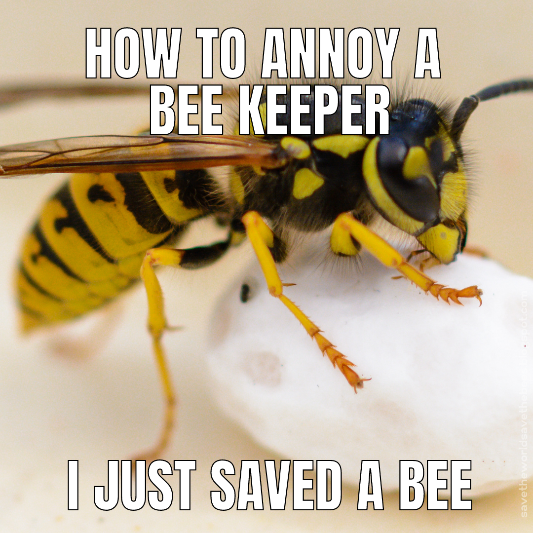 FREE BEE Awareness Memes, Printables, Infographics