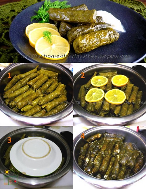 Citra's Home Diary: Kıymalı Yaprak Sarması / Turkish Grape Leaves ...