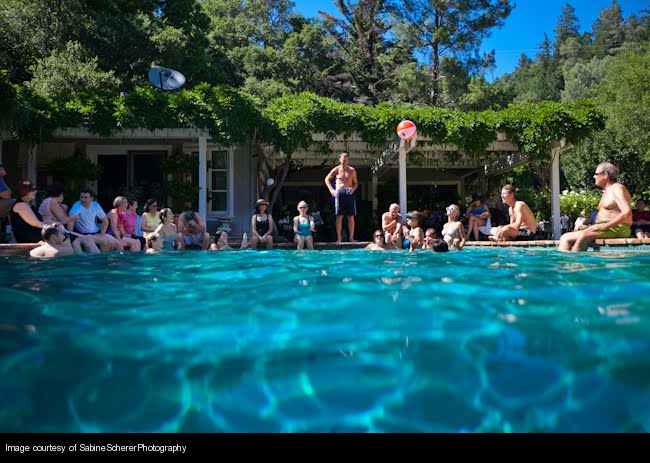 Floralisa Weddings and Events: Jumping in...feet first!