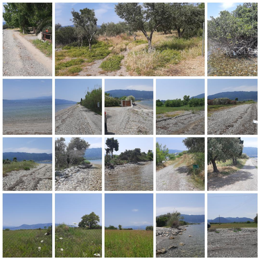ΚΑΜΕΝΑ ΒΟΥΡΛΑ Blog: 06/2021