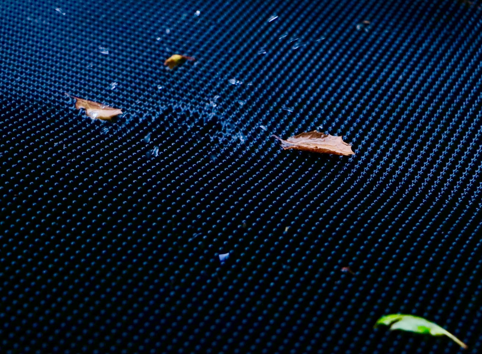 Crystalgraphy: ephemeral moment