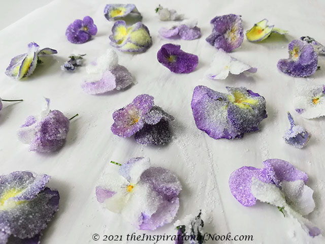 Candied Flowers | How to Make Edible Sugared Pansies