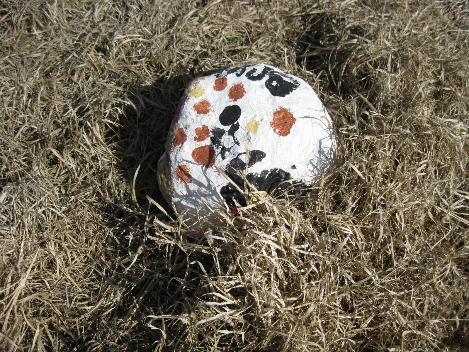 Robin's Double Life: The Yumba in Mitchell, outback Queensland