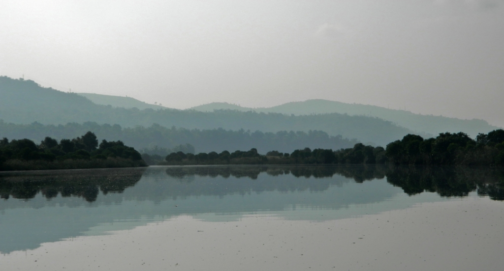 Crocodile safari at Maldoli backwater,Maharashtra,India | Travel life ...