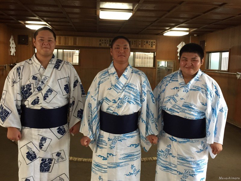 My sumō corner: Aki basho 2015 : shindeshi kensa