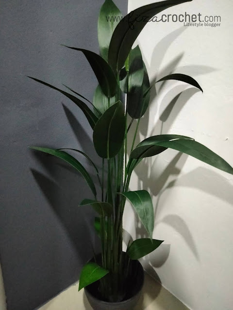 Pokok Hiasan Tiruan Untuk Dalaman Rumah Yang Viral Dan Murah