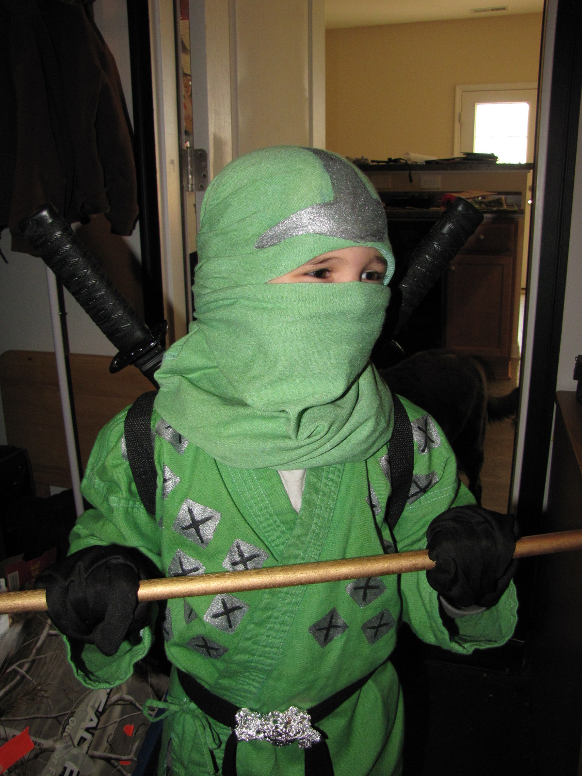 Roberts Family Adventures: How to Make a Ninjago Green Ninja Costume