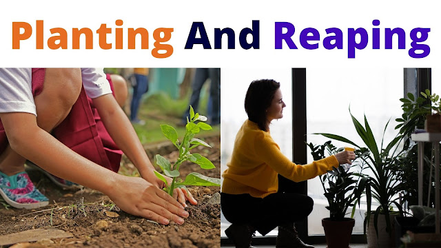 What is the difference between sowing and reaping? - h6v5