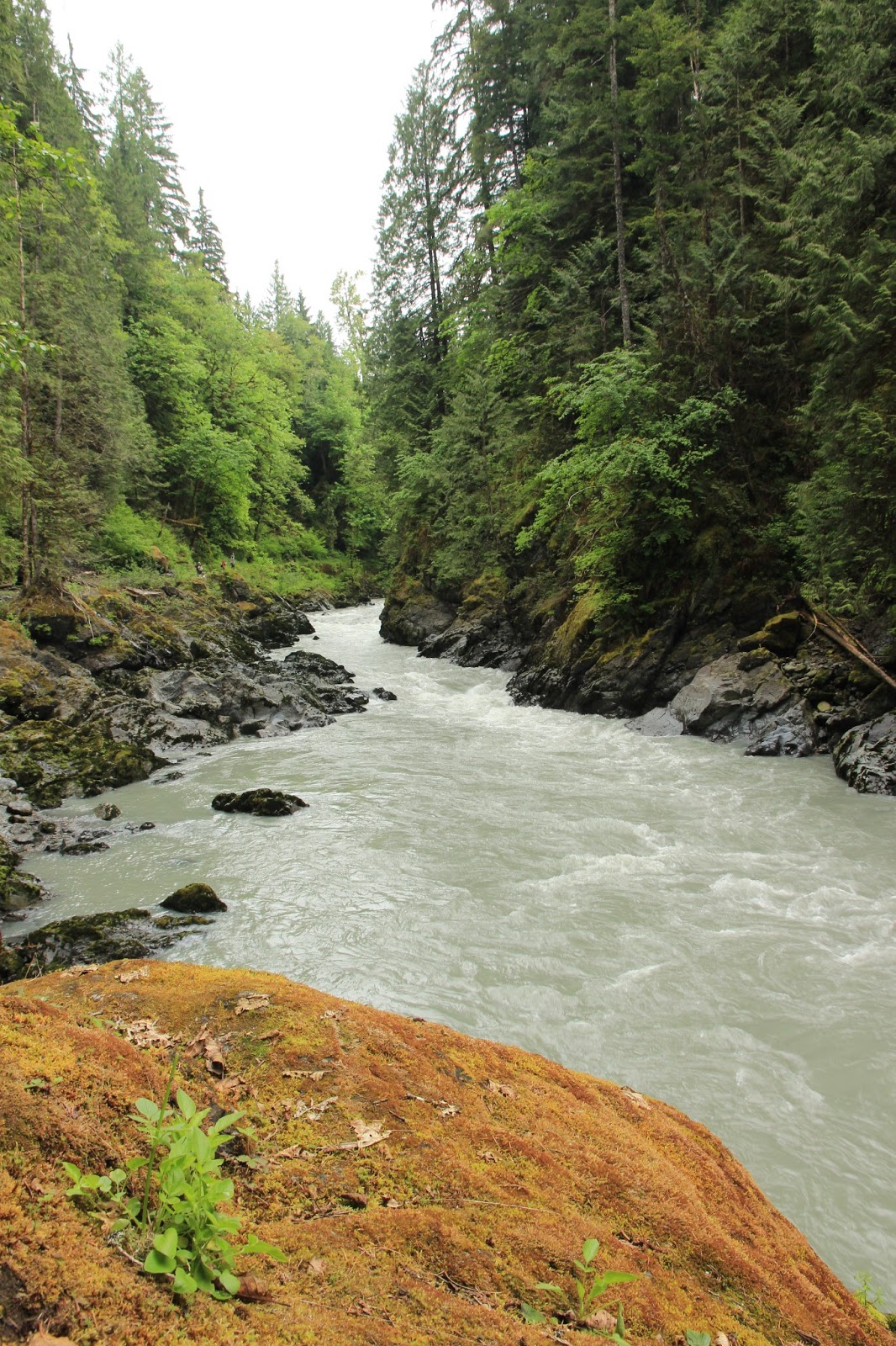Explorations of Jackie & Joe: Old Robe Canyon Trail