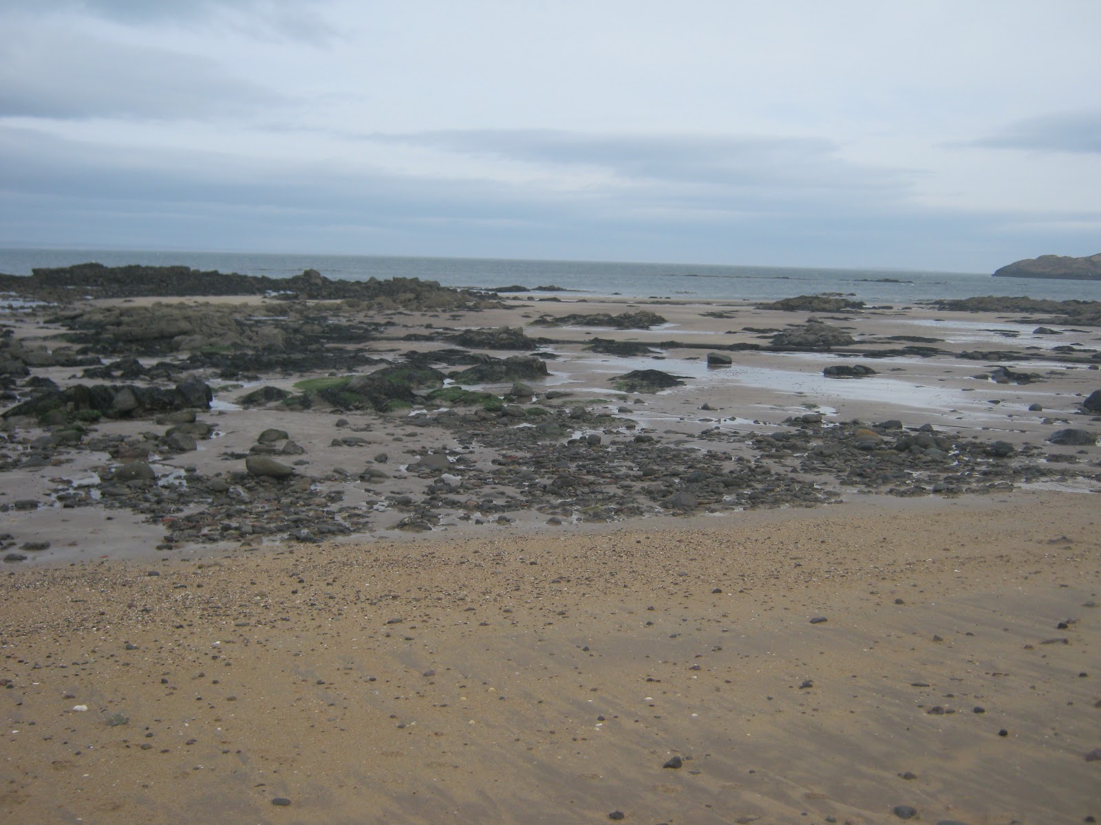 coastrider: Spring Tides Beach Rides...