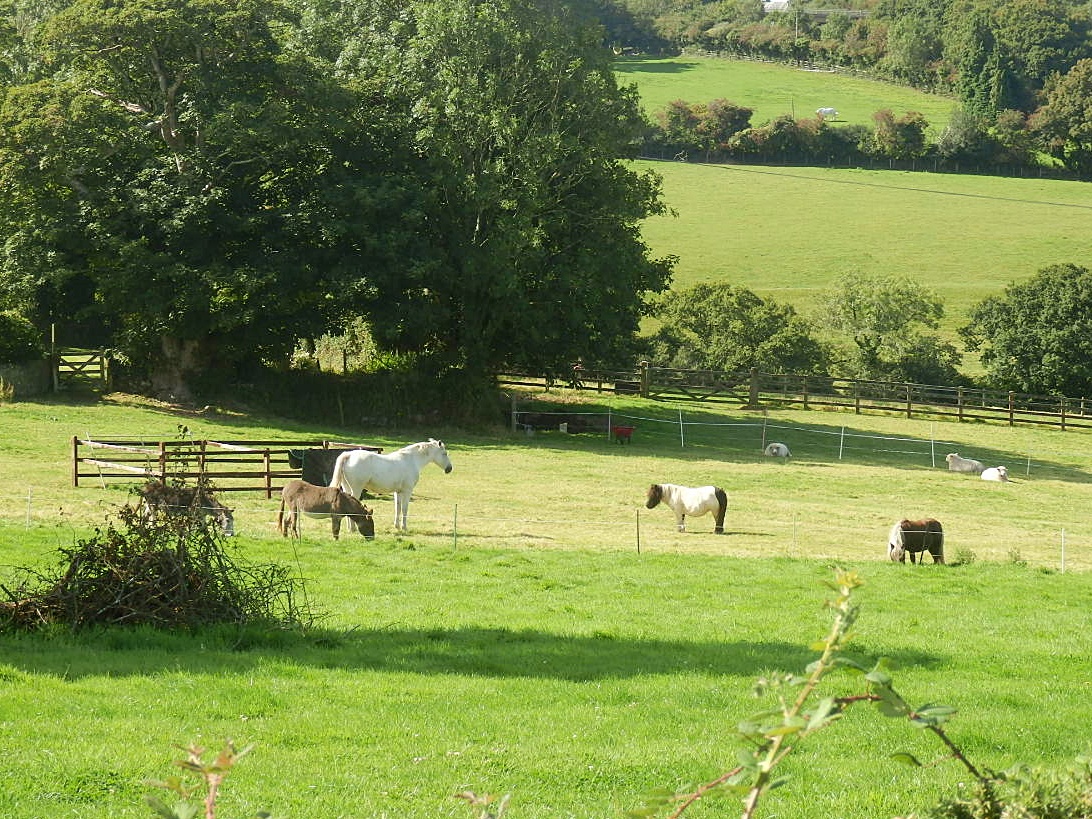 Mike's Cornwall: The Village of Polgooth, Cornwall
