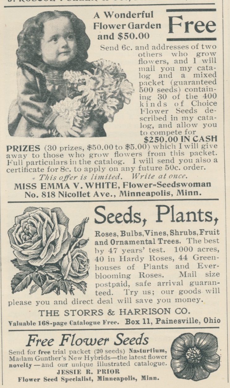 Clearly Vintage: Flower Seed Ads from 1901